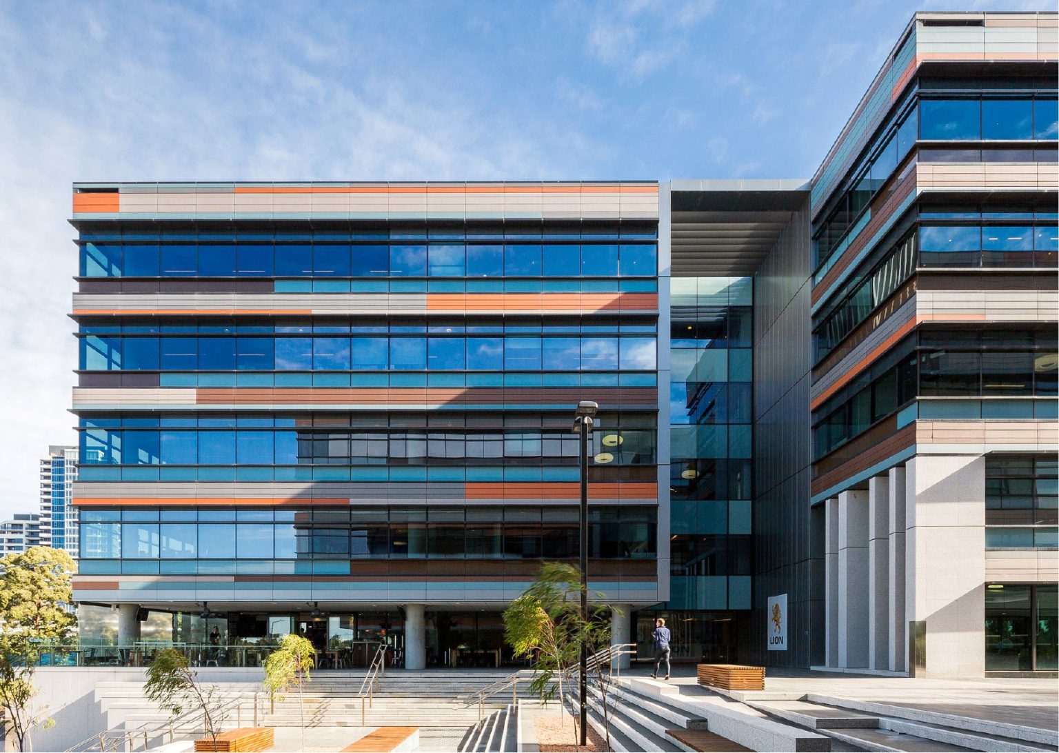 Murray Rose Collection - TURNER